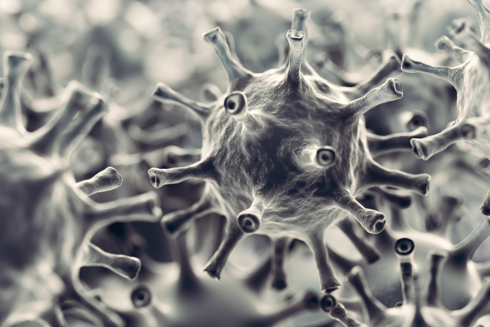 Grey Insights – Your Mental Health Experts